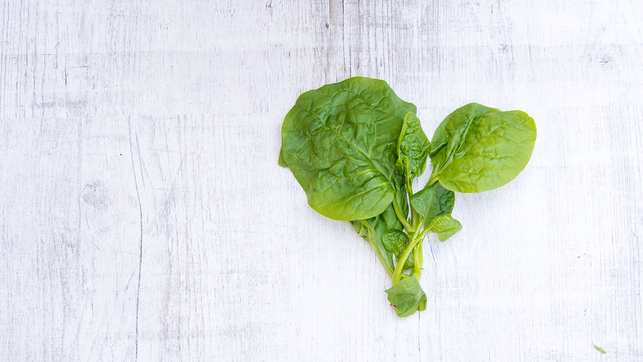 Bazela bílá - Mồng tơi neboli malabarský špenát | Asijská zelenina od ...